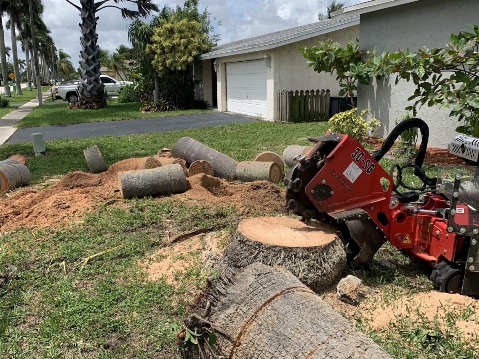 Tree Service Broward | Service Queen Tree Service